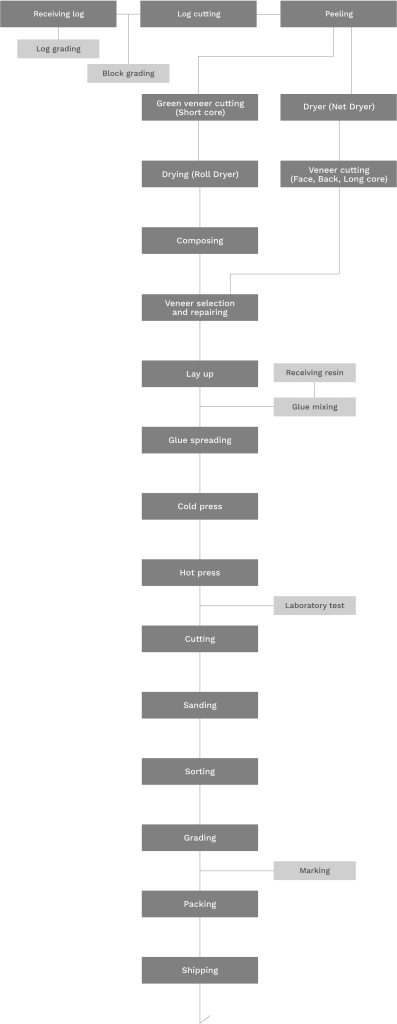 Production Process Flow – Besgrade Plywood Sdn. Bhd.